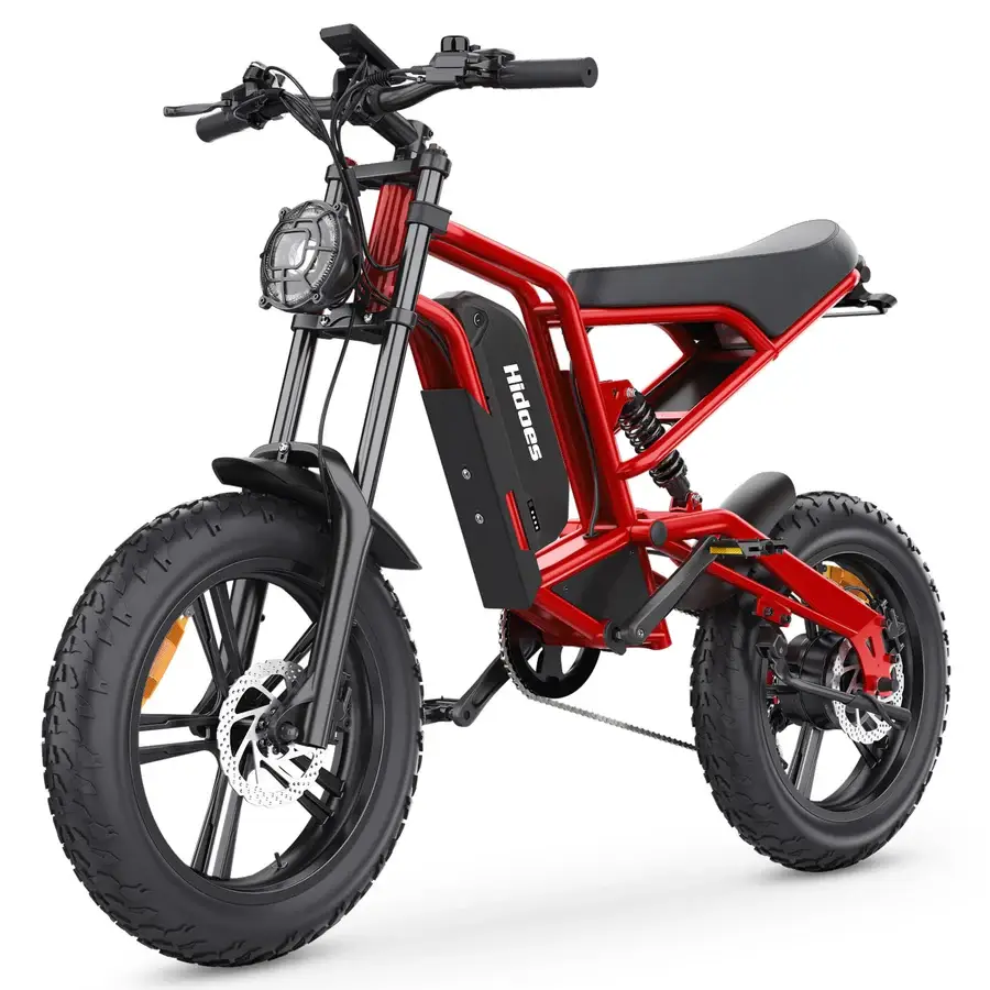 Hidoes B6 1200W Electric Bike for Adults - King Electronics: Premium ...